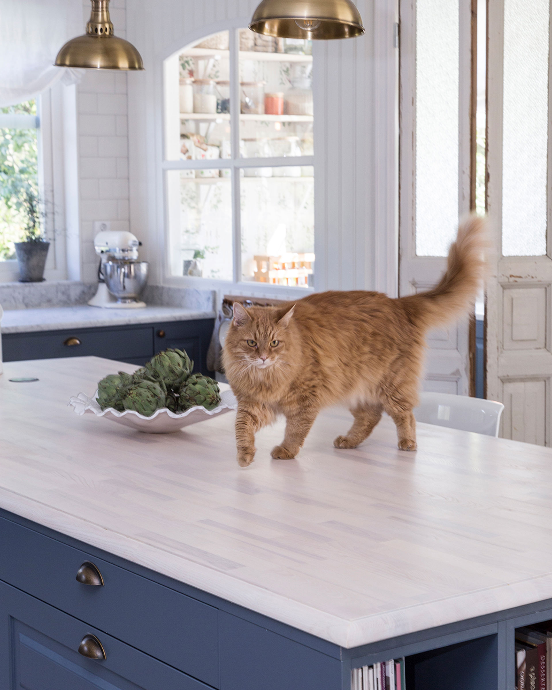 Vedum - Familjen Boart